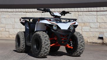 New 2024 KAYO BULL 125 | Family Powersports