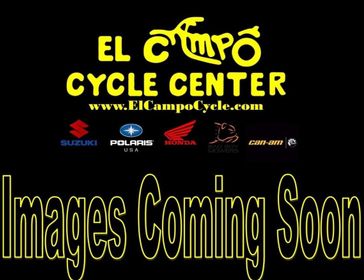New 2024 Honda EG4000 Generator | El Campo Cycle Center | El Campo, TX